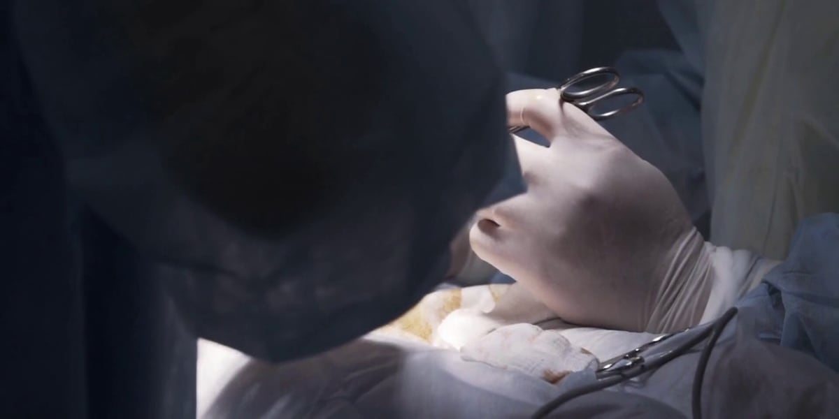 Arizona Stands Firm Against Forced Organ Harvesting in China – Richmond ...
